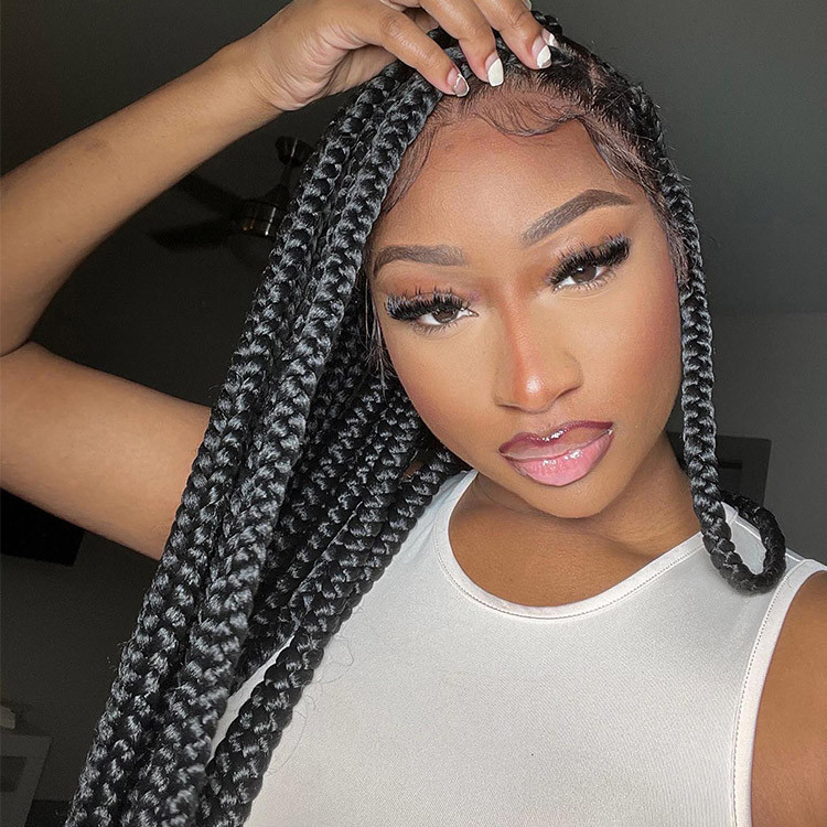 Glueless Lace Front Synthetic Box Braid Wig Realistic Beginner Friendly ...